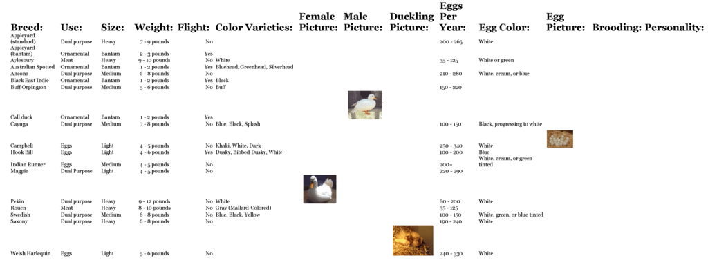 Duck egg color chart? | Page 2 | BackYard Chickens - Learn How to Raise ...